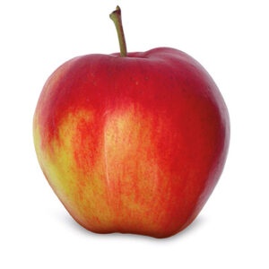 Apfel - Schweizer Obstverband