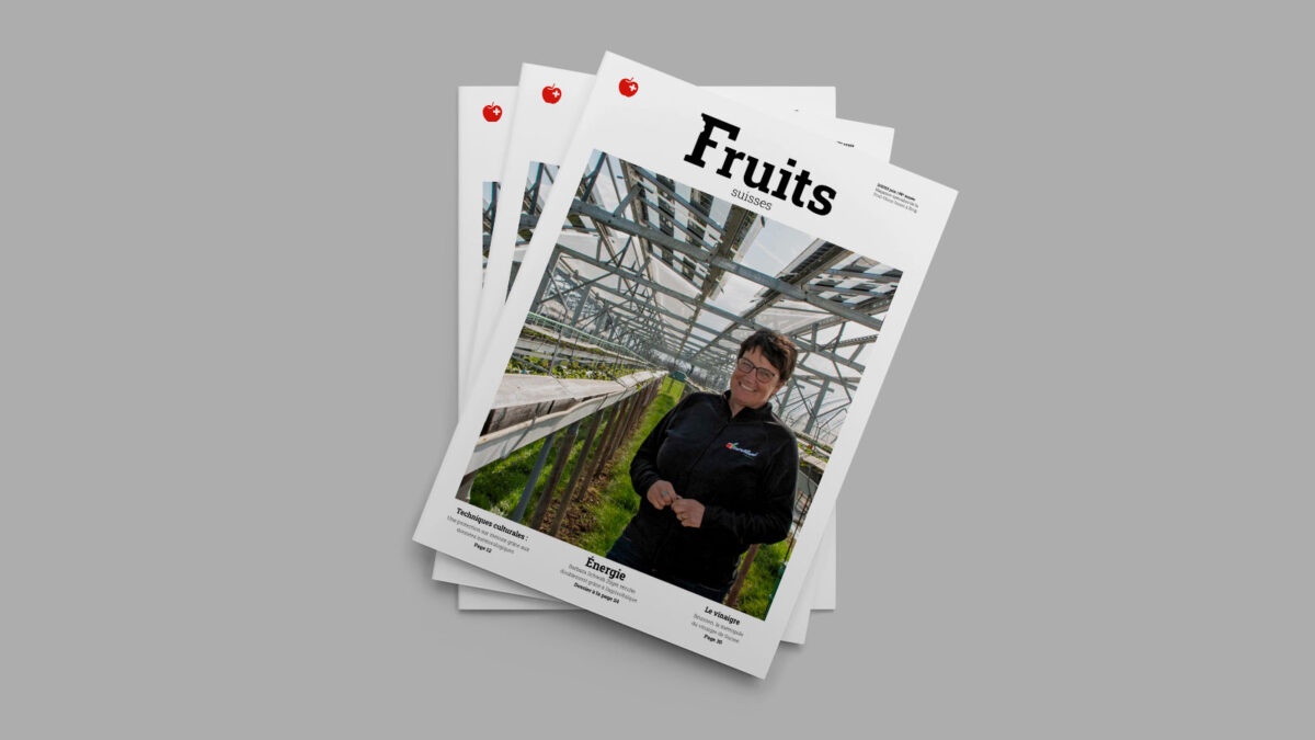 Fruits suisses 4/2023 : La culture des petits fruits - Fruit-Union Suisse