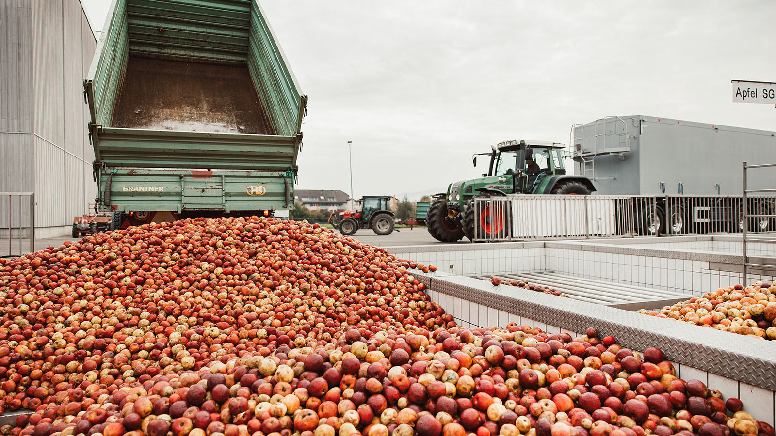 Jus de fruits doux grâce à l’été ensoleillé - Fruit-Union Suisse